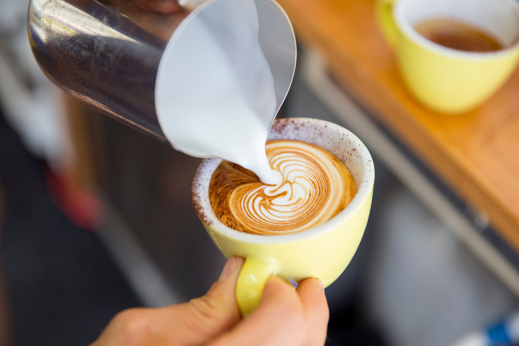 Coffee Suppliers Melbourne – Niccolo Coffee